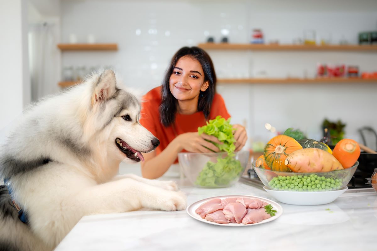 Lickicious - Nutritious & Delicious Pet Food – LICKICIOUS